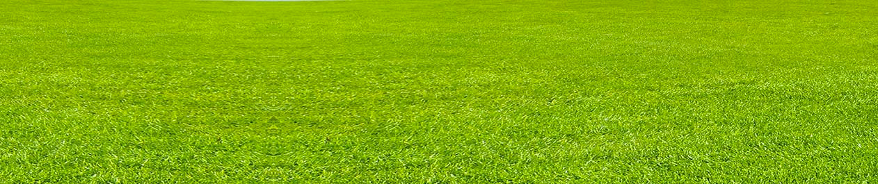 NRL Tipping Comp - Infront. Staffing & Container Services.